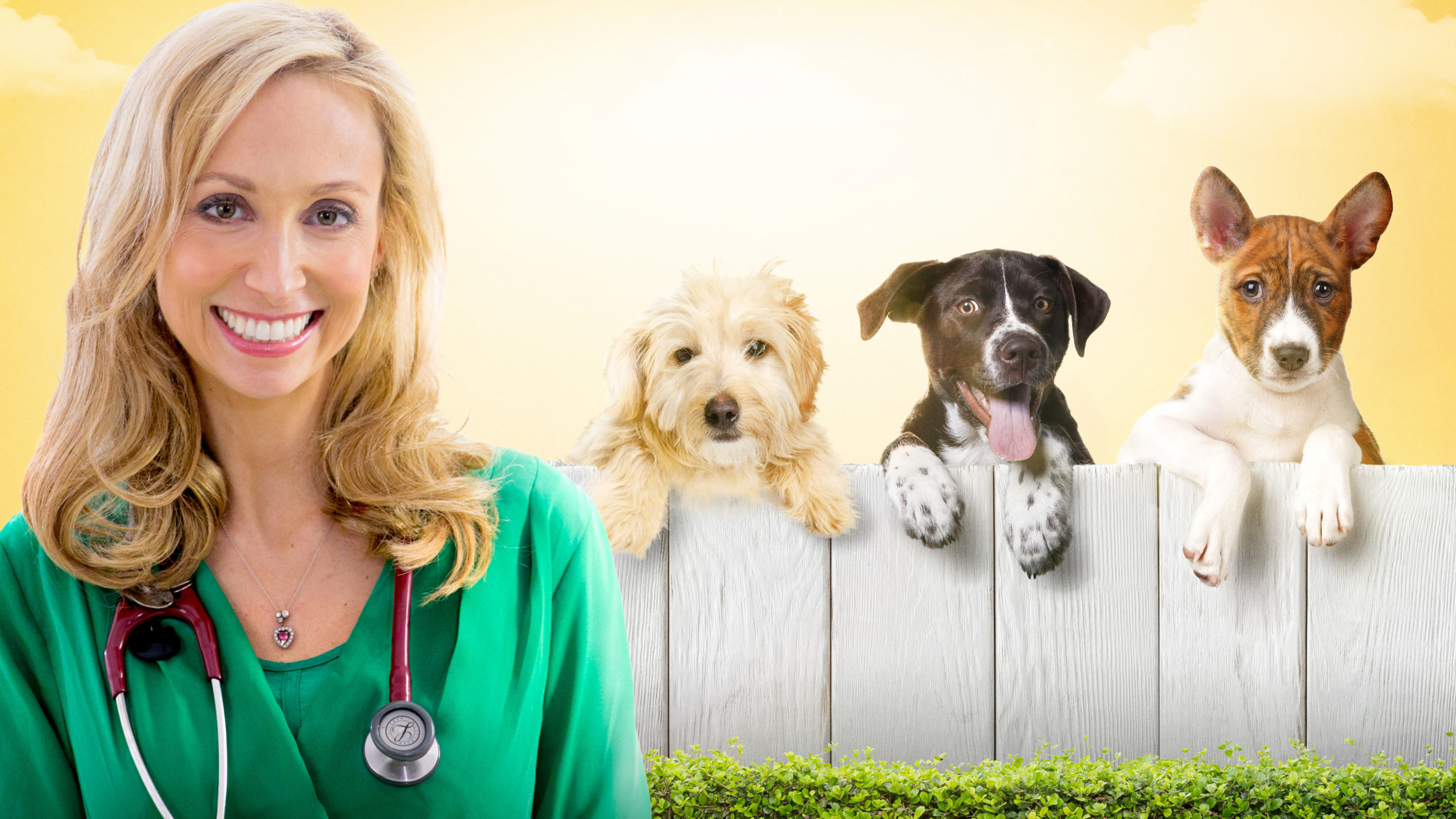 Dr Lisa To The Rescue – WTFN