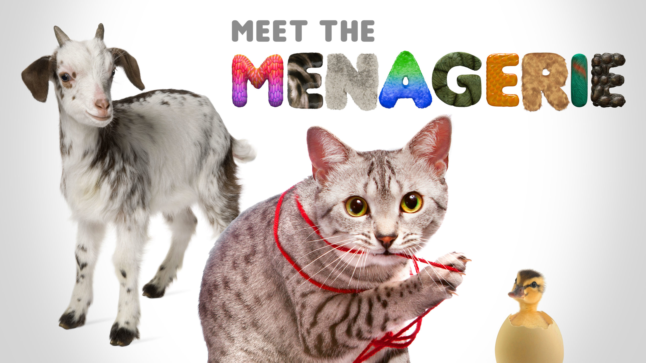 Meet The Menagerie – WTFN